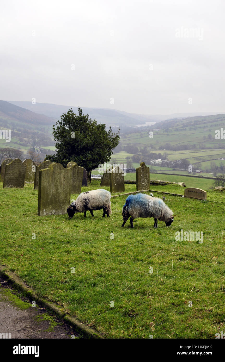St Chads Church Graveyard Middlesmoor Stock Photo - Alamy