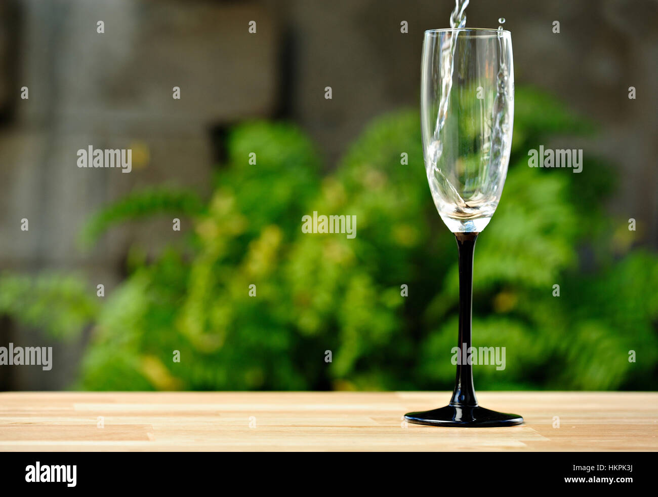 pouring champagne in empty glass in green garden Stock Photo - Alamy
