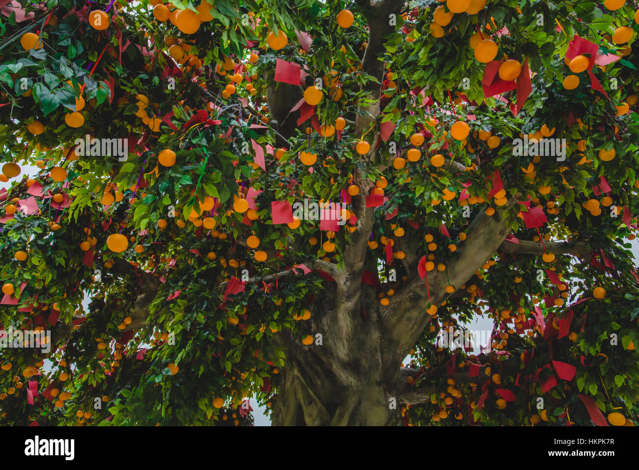 Lam tsuen hong kong hi-res stock photography and images - Alamy