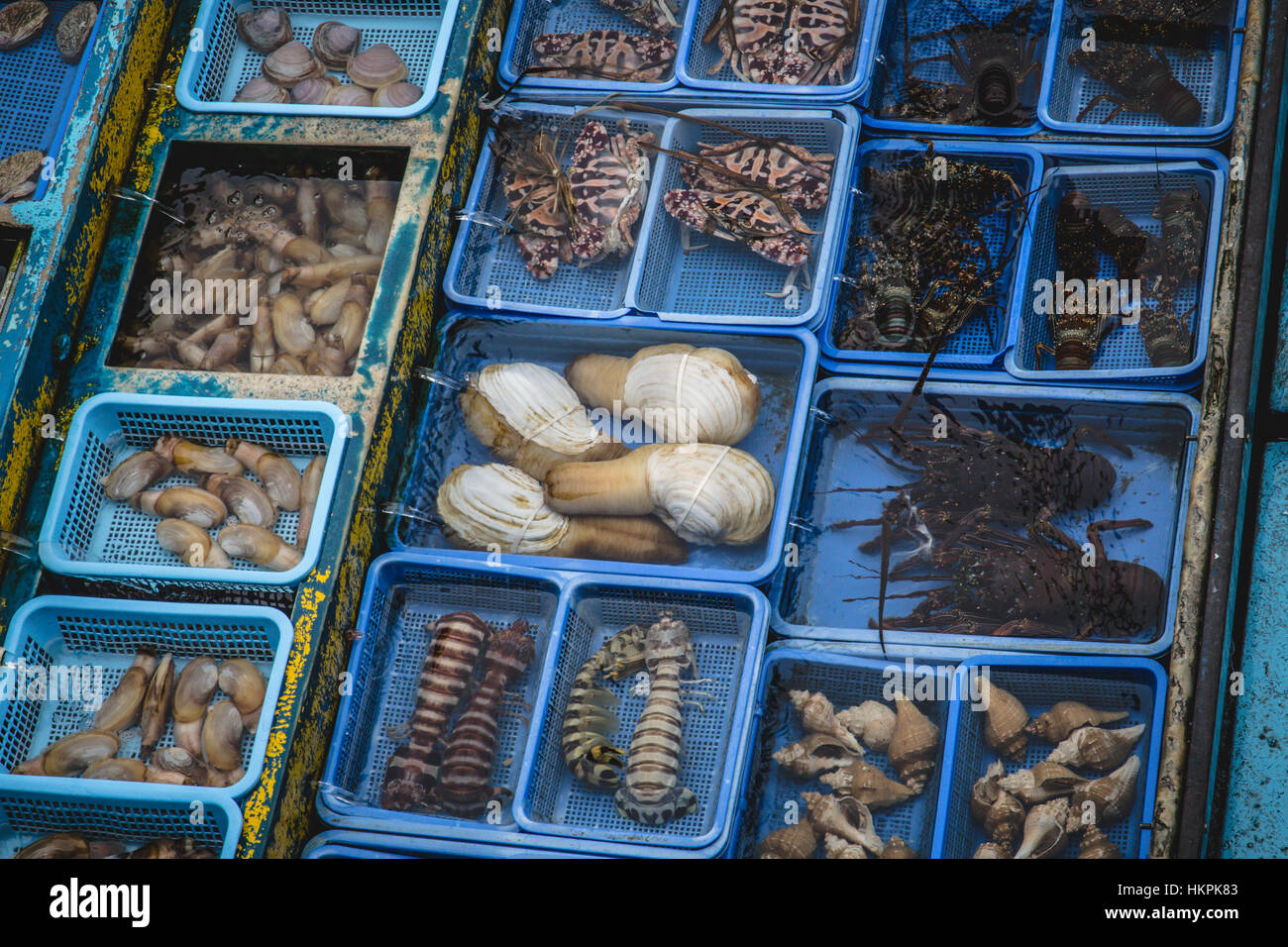 Basins with living seafoods on boat in Sai Kong, Hong Kong Stock Photo ...