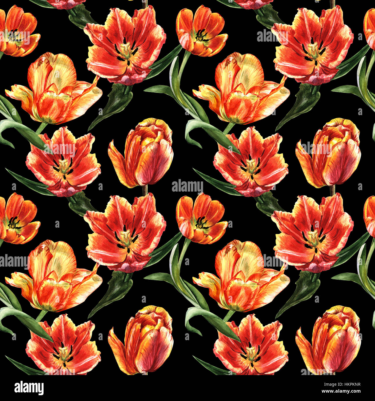 Wildflower tulip flower pattern in a watercolor style isolated Stock ...