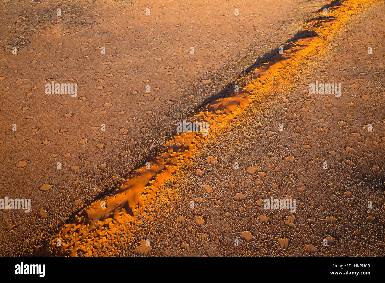 Semi arid desert habitat hi-res stock photography and images - Alamy