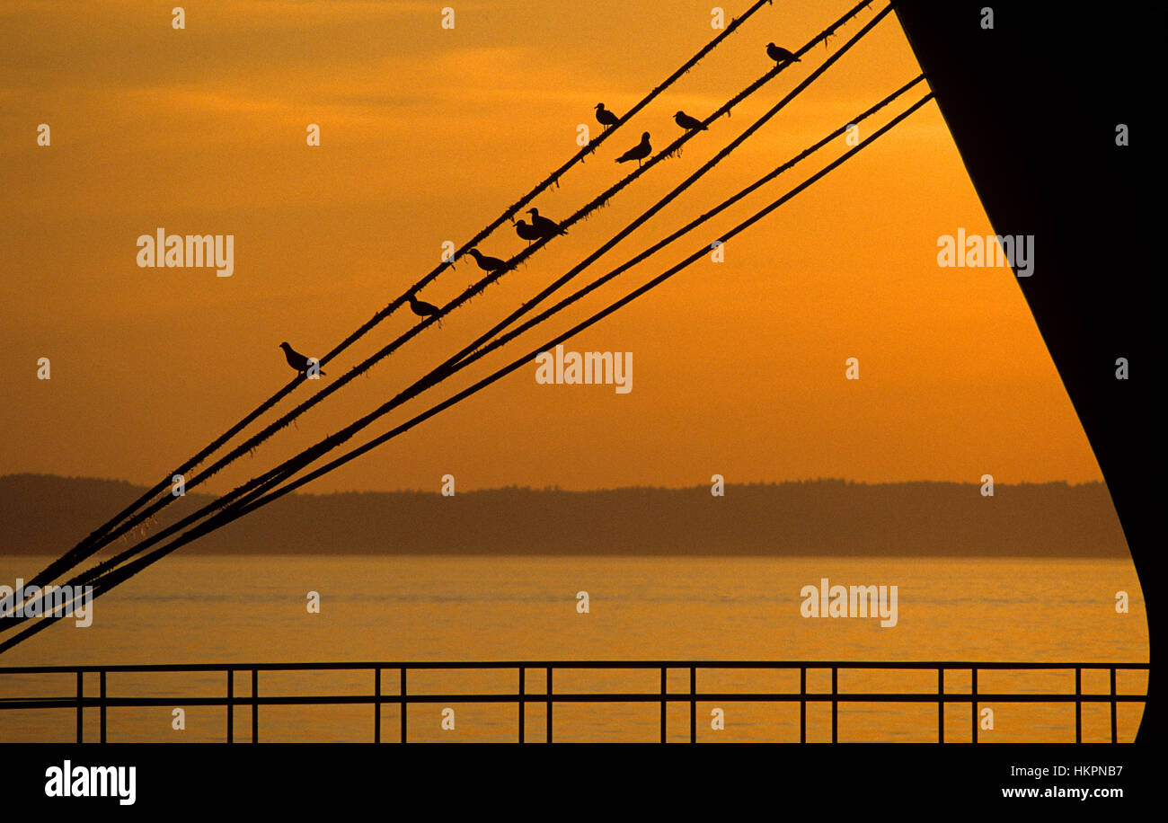 Seattle grain terminal hi-res stock photography and images - Alamy