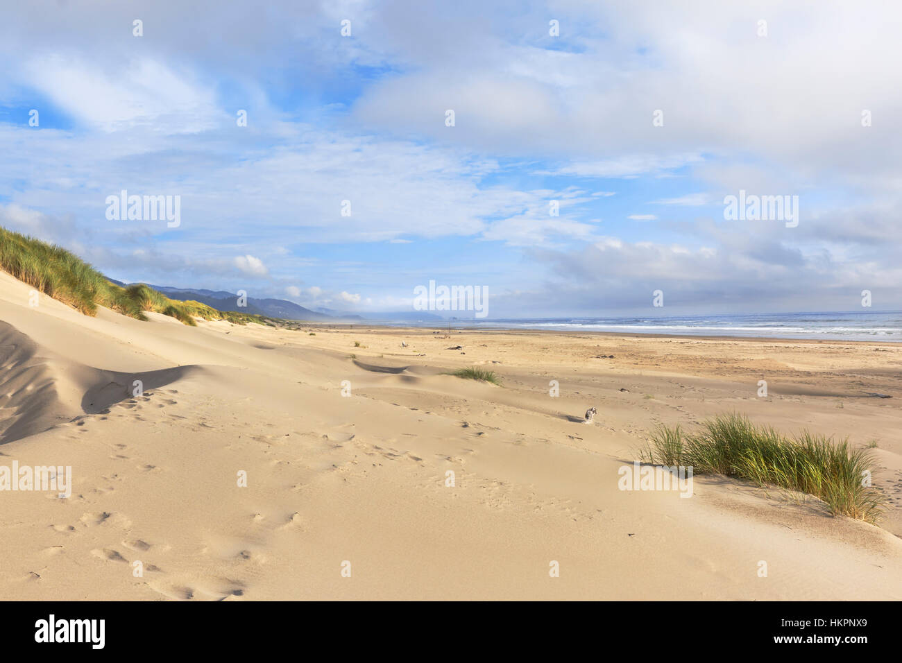 Nehalem oregon hi-res stock photography and images - Alamy