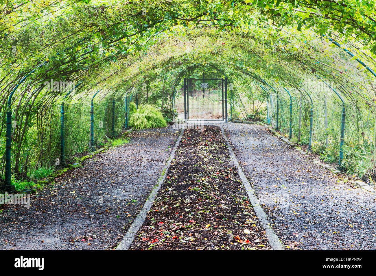 Point defiance park hi-res stock photography and images - Alamy