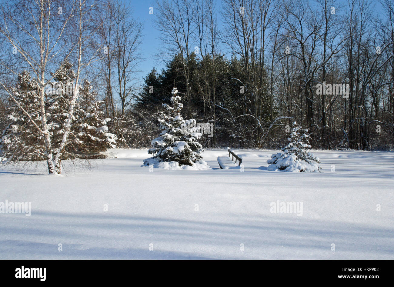 Day after the snowstorm hi-res stock photography and images - Alamy