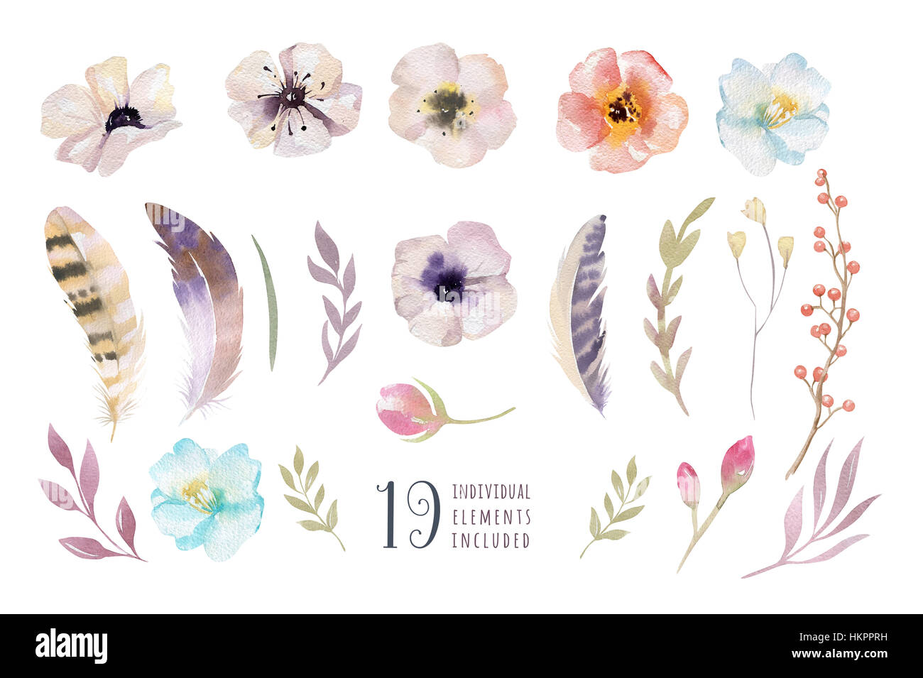 Boho Flower Drawings