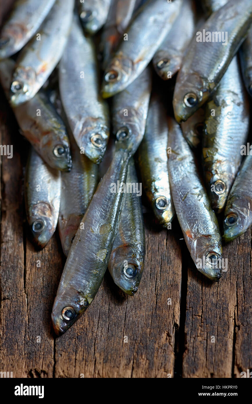 Hamsi fish hi-res stock photography and images - Alamy