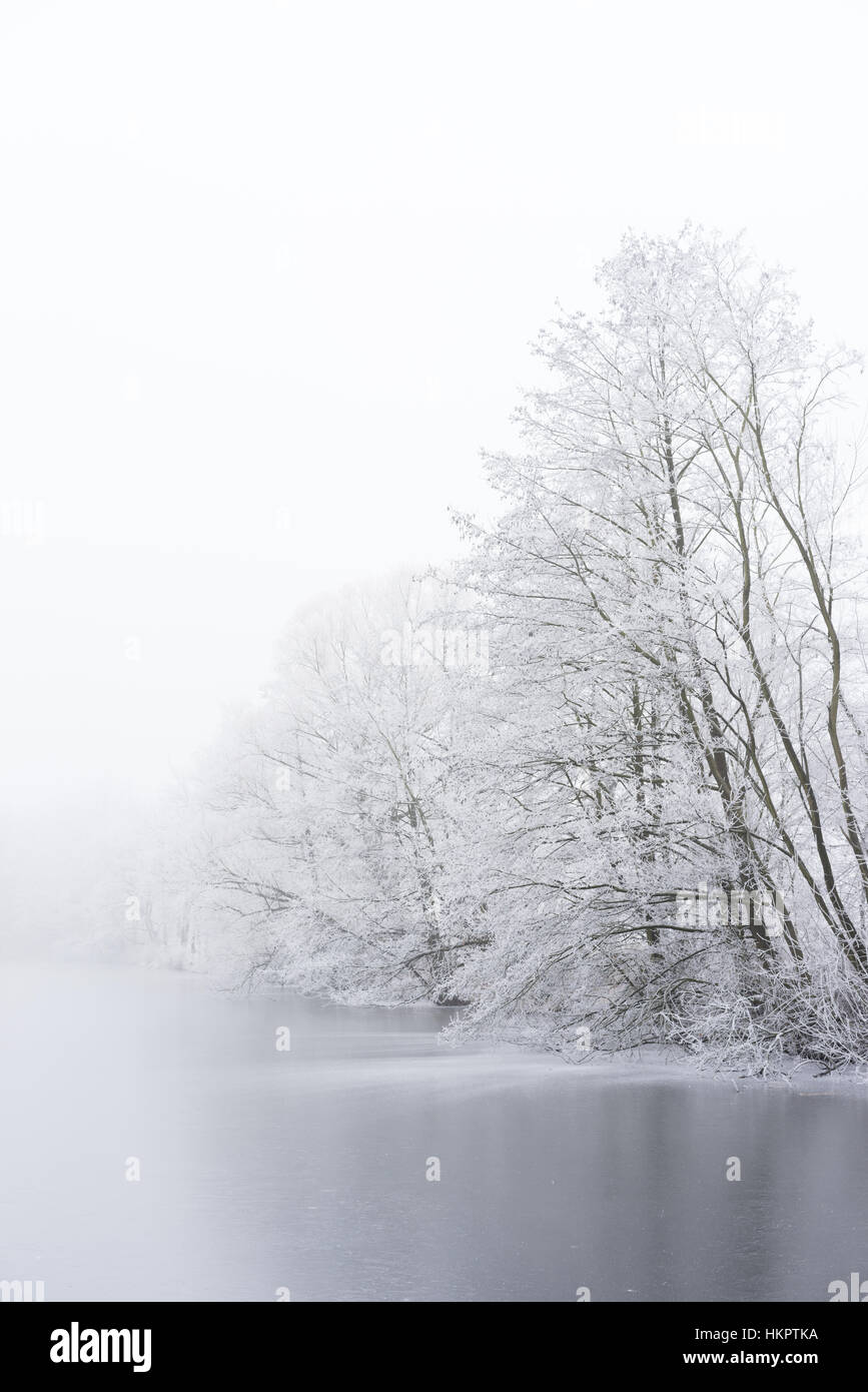 Frozen icy winter frost hi-res stock photography and images - Alamy