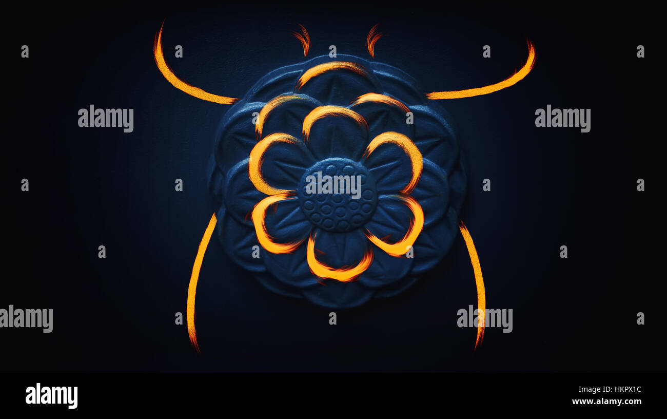 Bug drawing hi-res stock photography and images - Alamy