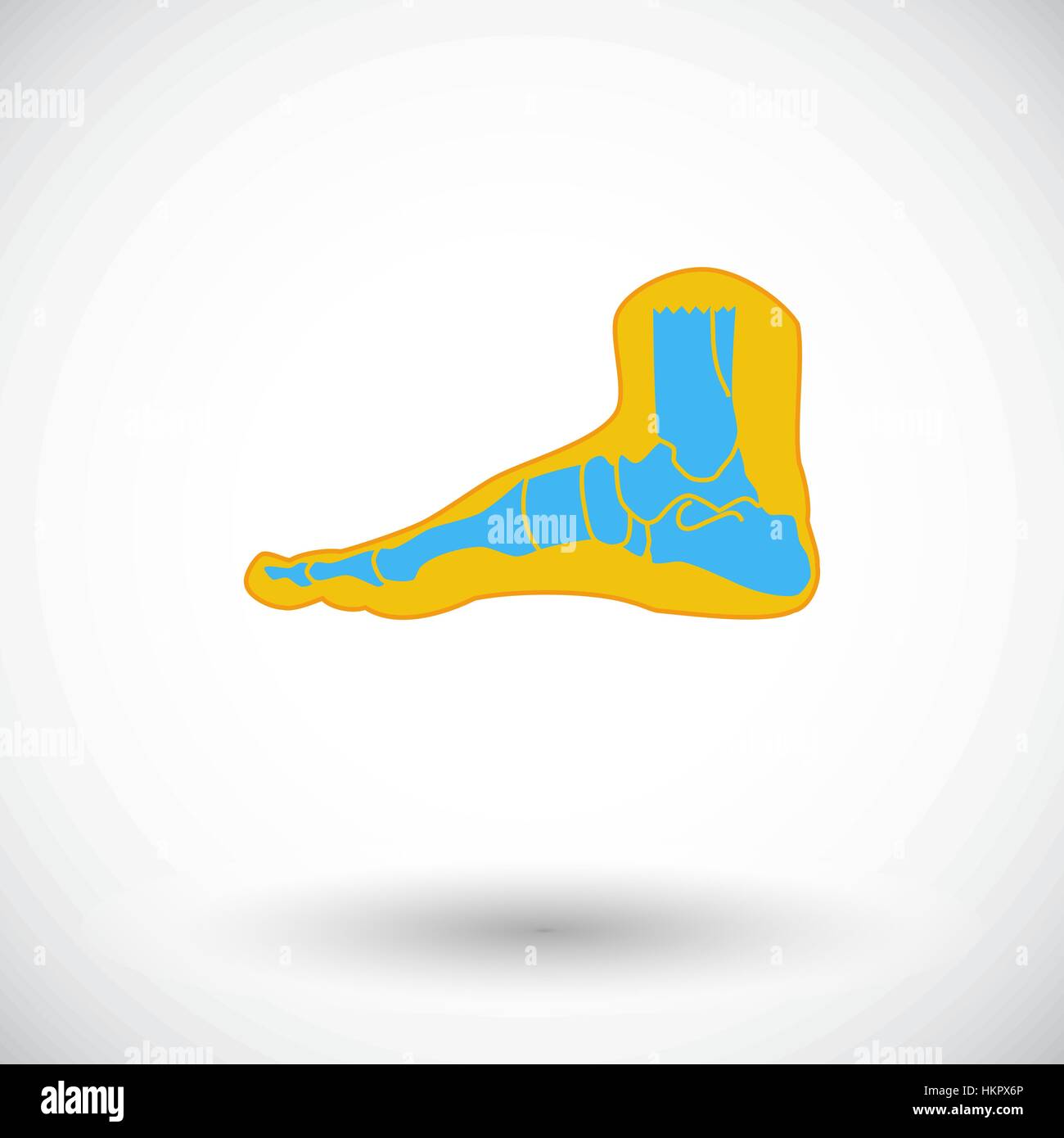 Foot anatomy. Single flat icon on white background. Vector illustration ...