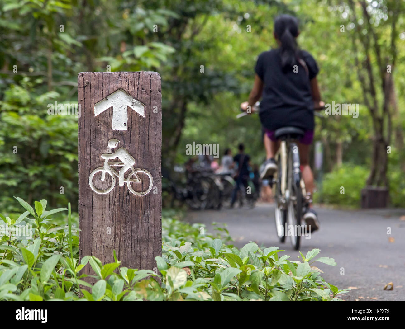 Signpost biking trails with arrow driving direction of the road. Woman ...