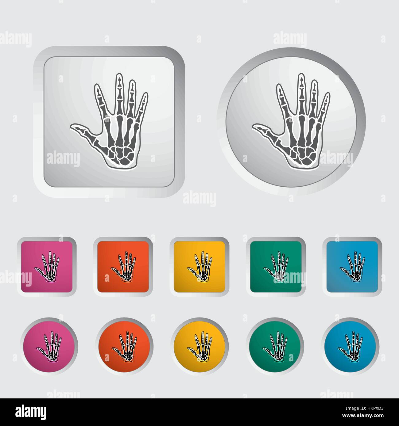 Anatomy hand icon. Vector illustration Stock Vector Image & Art - Alamy