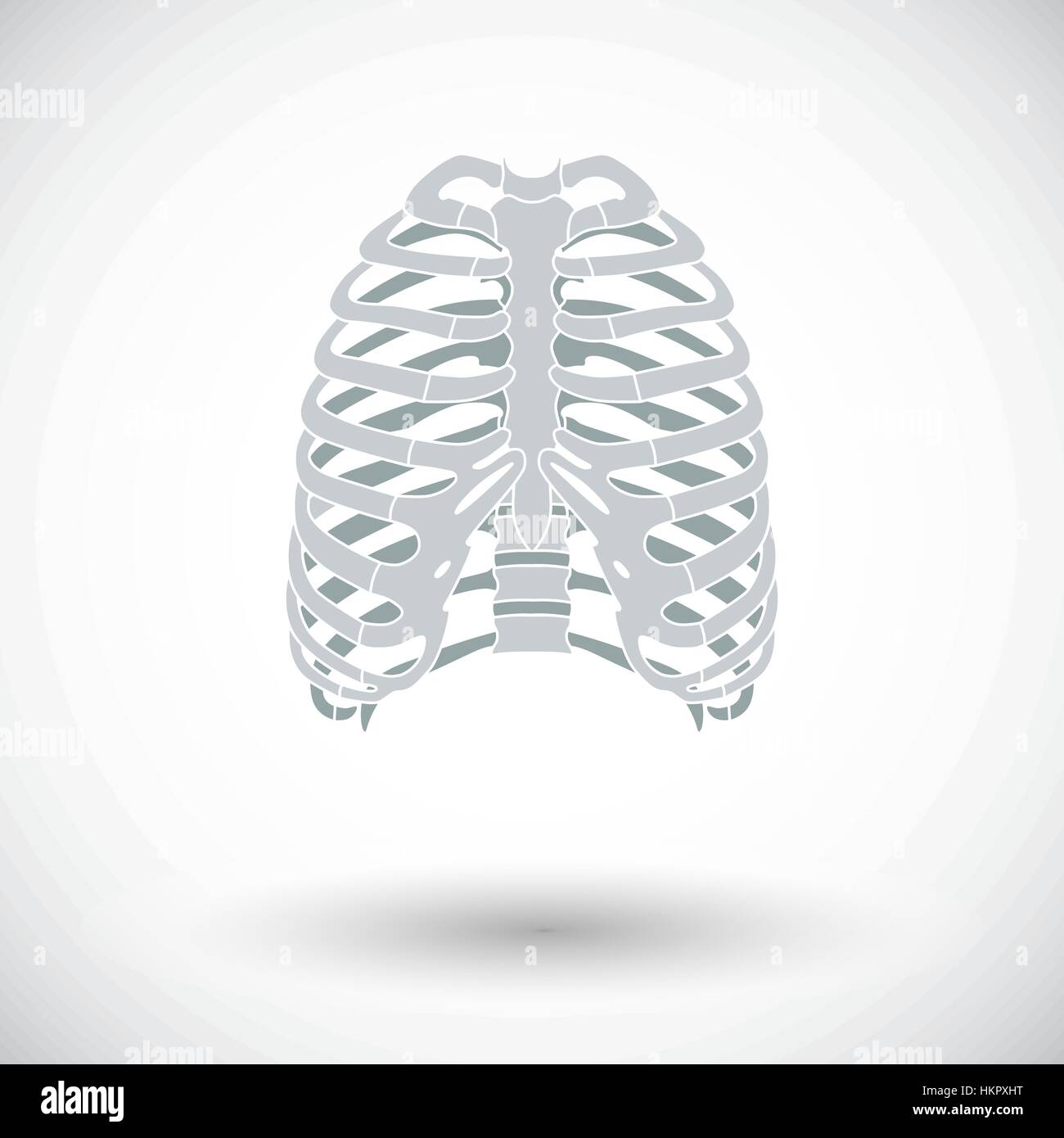 Human thorax. Single flat icon on white background. Vector illustration ...