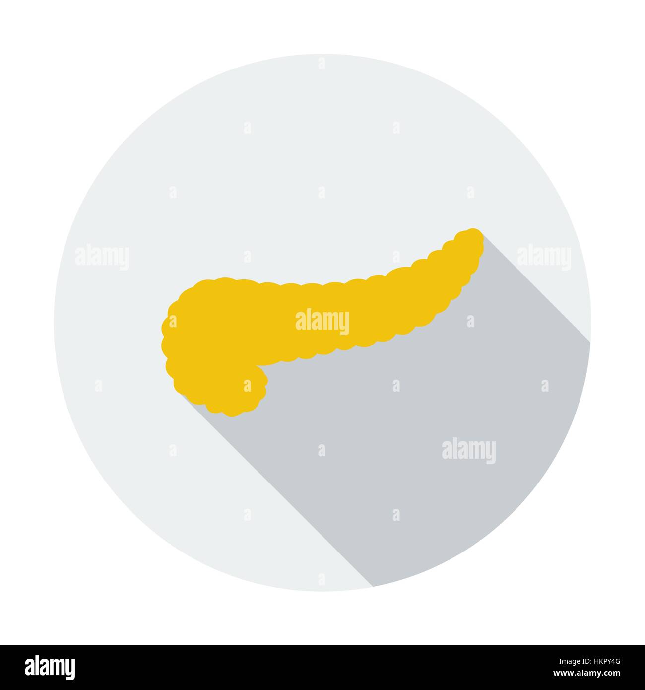 Digestion pancreas icon flat Cut Out Stock Images & Pictures - Alamy