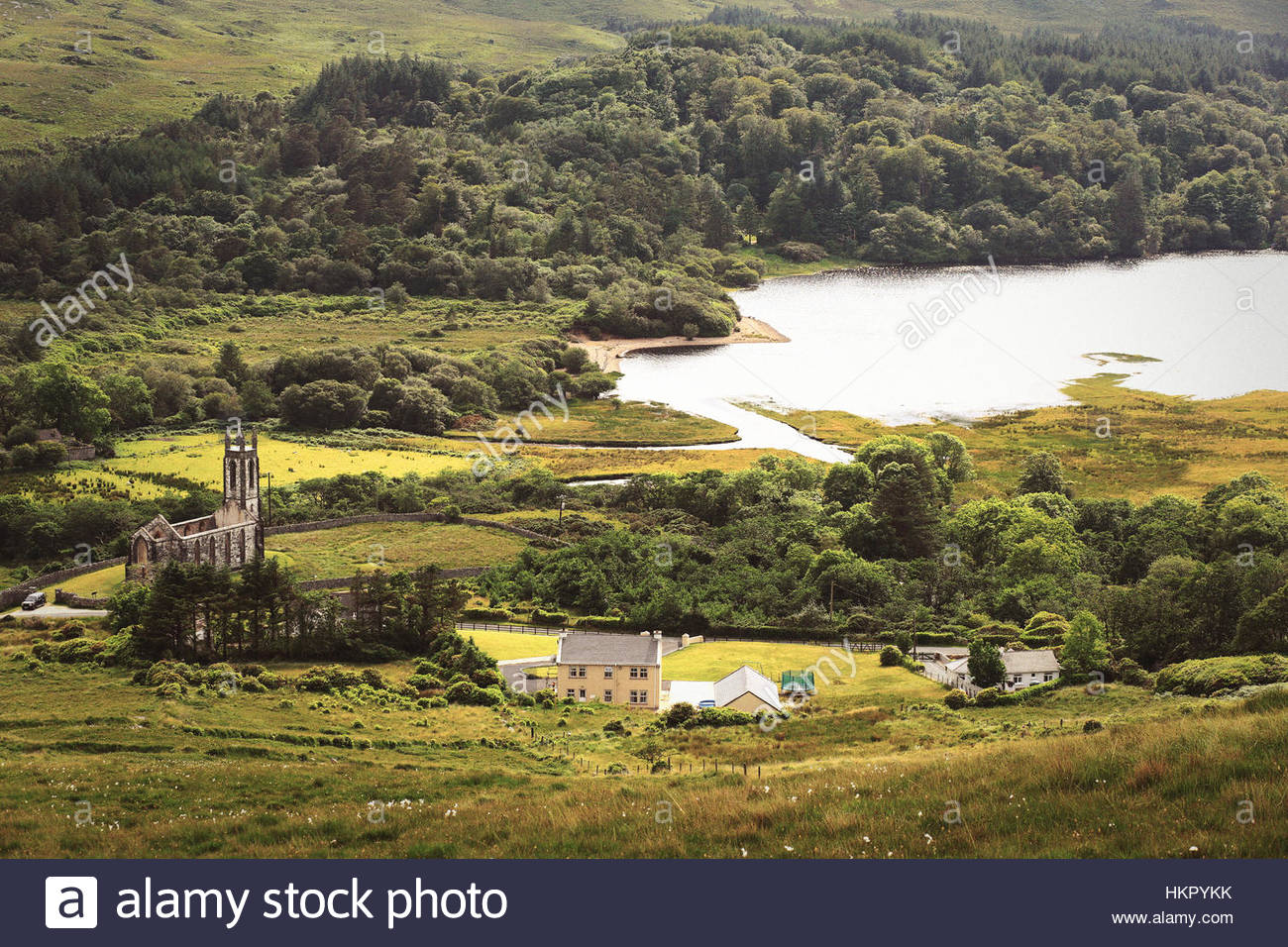 Irish countryside trees hi-res stock photography and images - Alamy