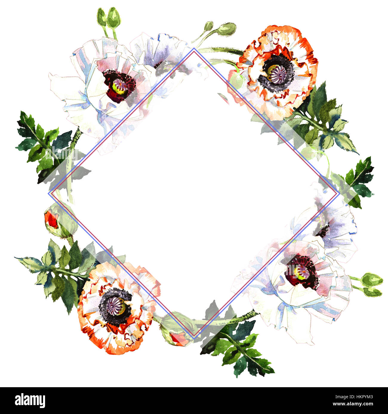 Wildflower poppy flower frame in a watercolor style isolated Stock ...