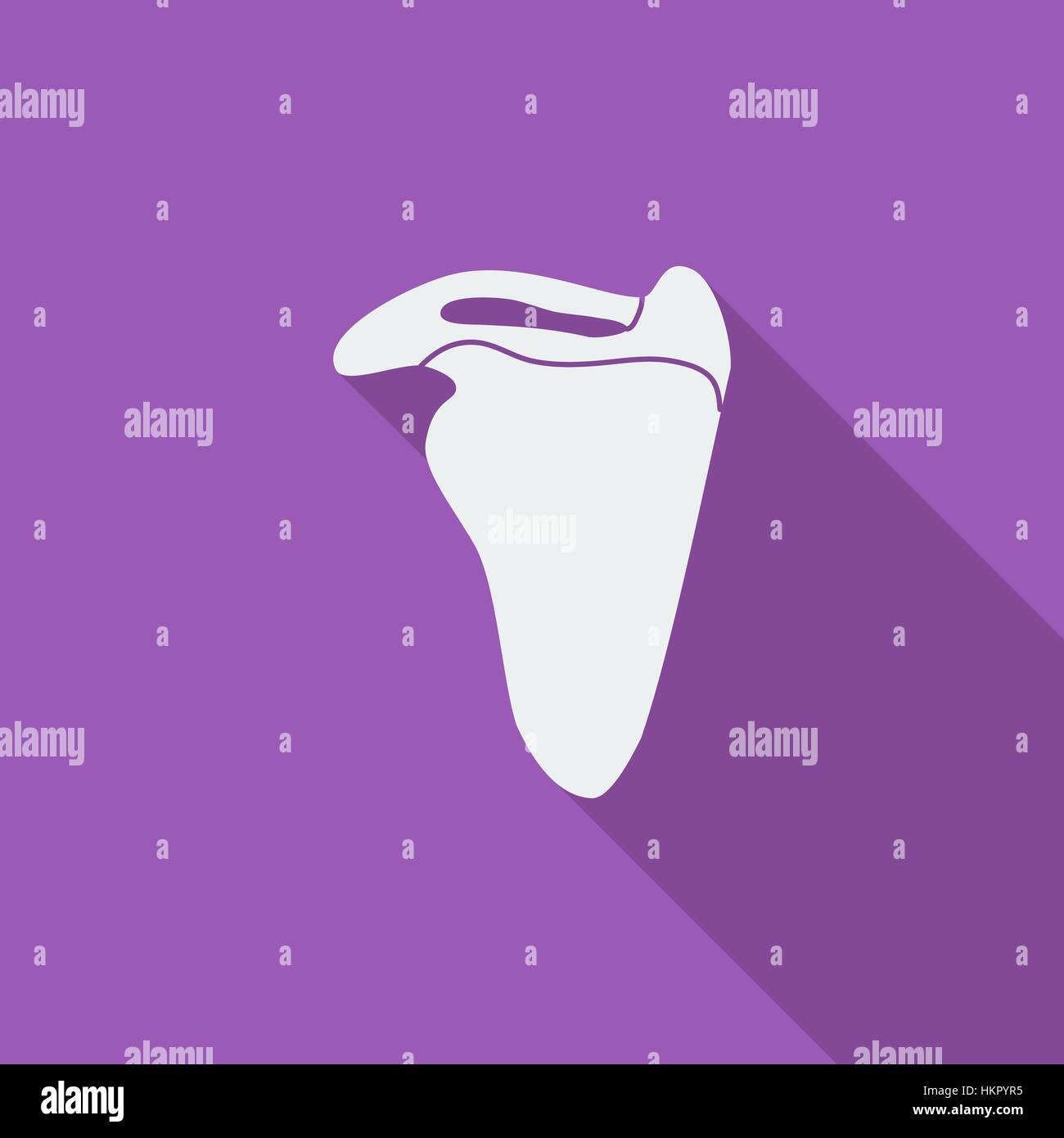 Scapula icon. Flat vector related icon with long shadow for web and ...