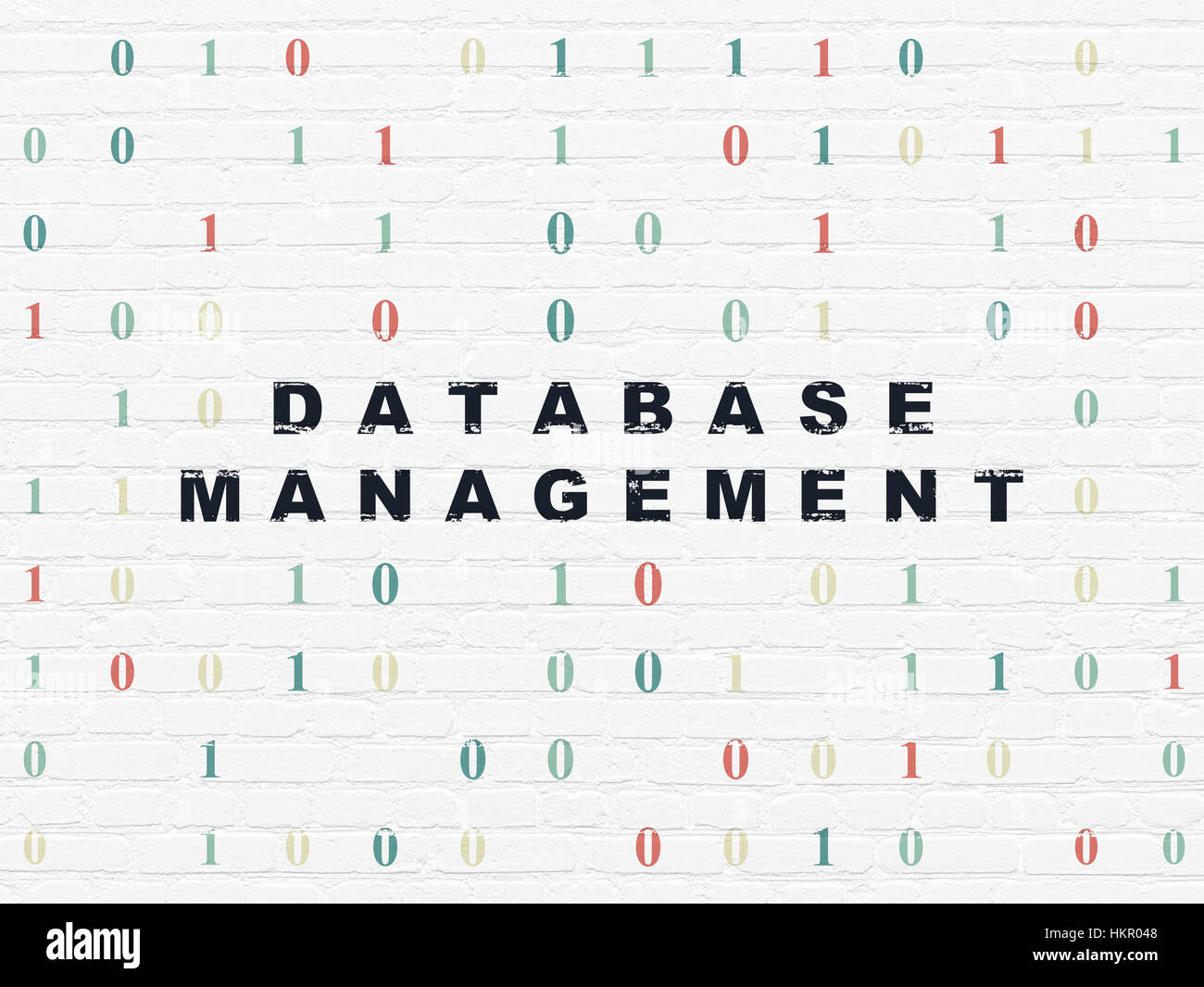 Database concept: Database Management on wall background Stock Photo ...