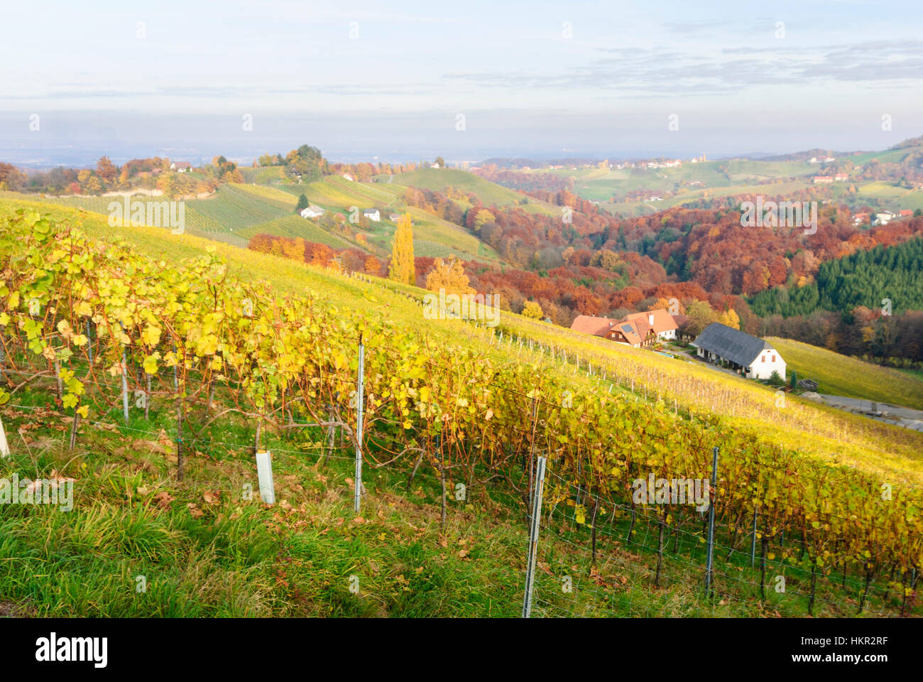 Gamlitz: Vineyards - South Styrian Wine Route, Südwest-Steiermark ...