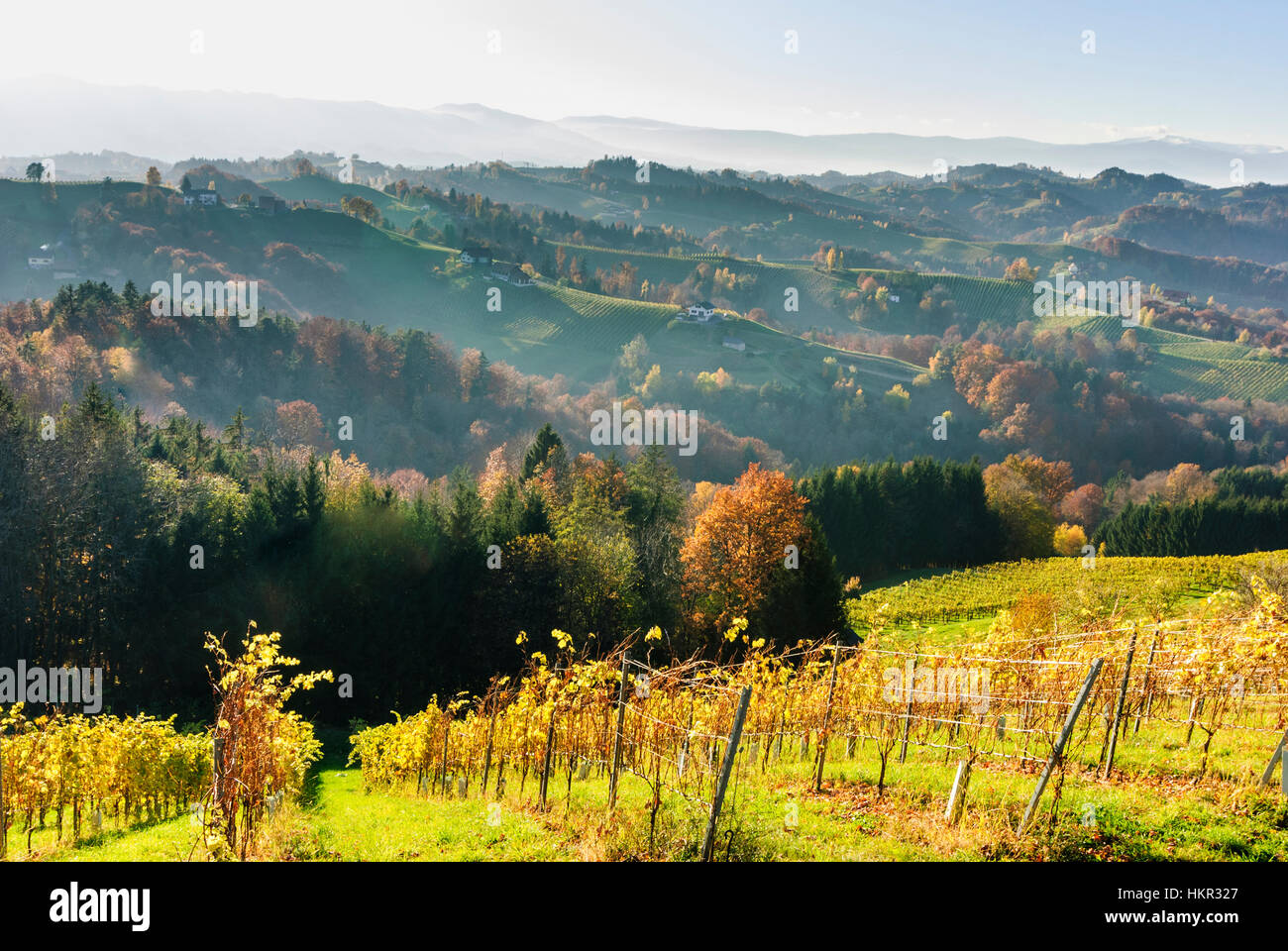 Gamlitz: Vineyards - South Styrian Wine Route, Südwest-Steiermark ...