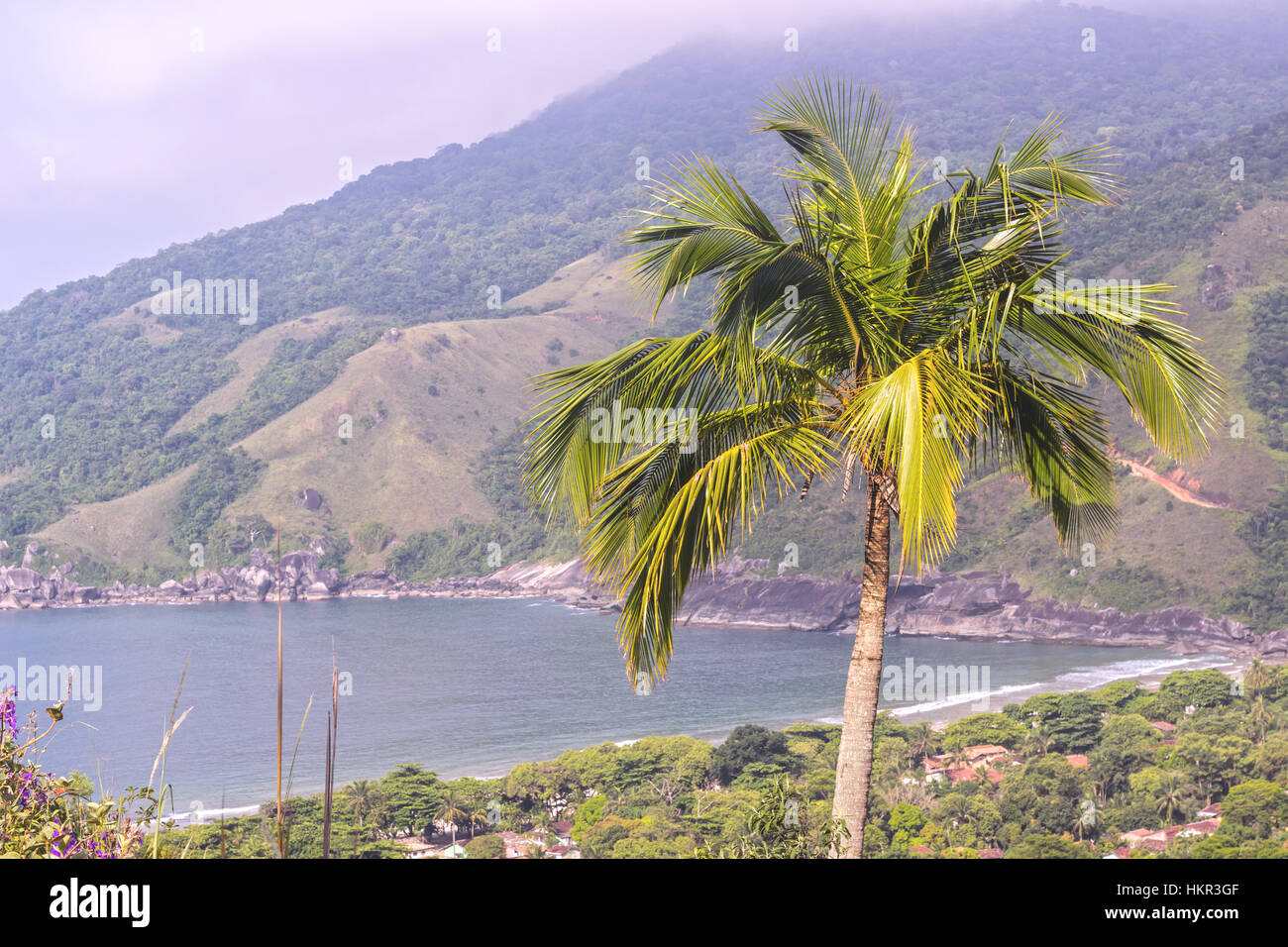 Ilhabela, Brazil, View of Praia do Bonete with palm tree Stock Photo ...