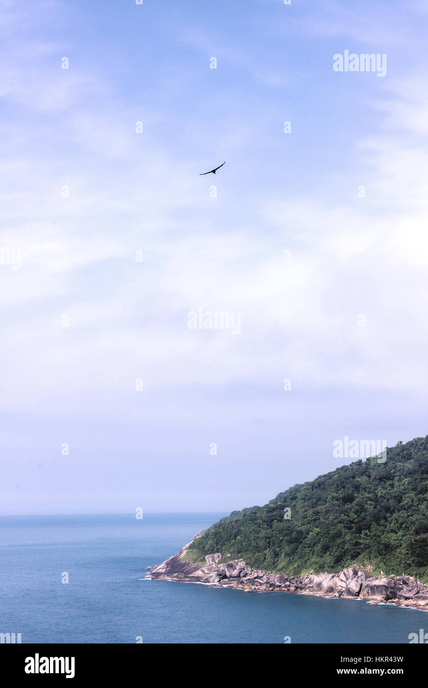 Ilhabela, Brazil, View of bird flying close to Mirante da Barra Stock ...