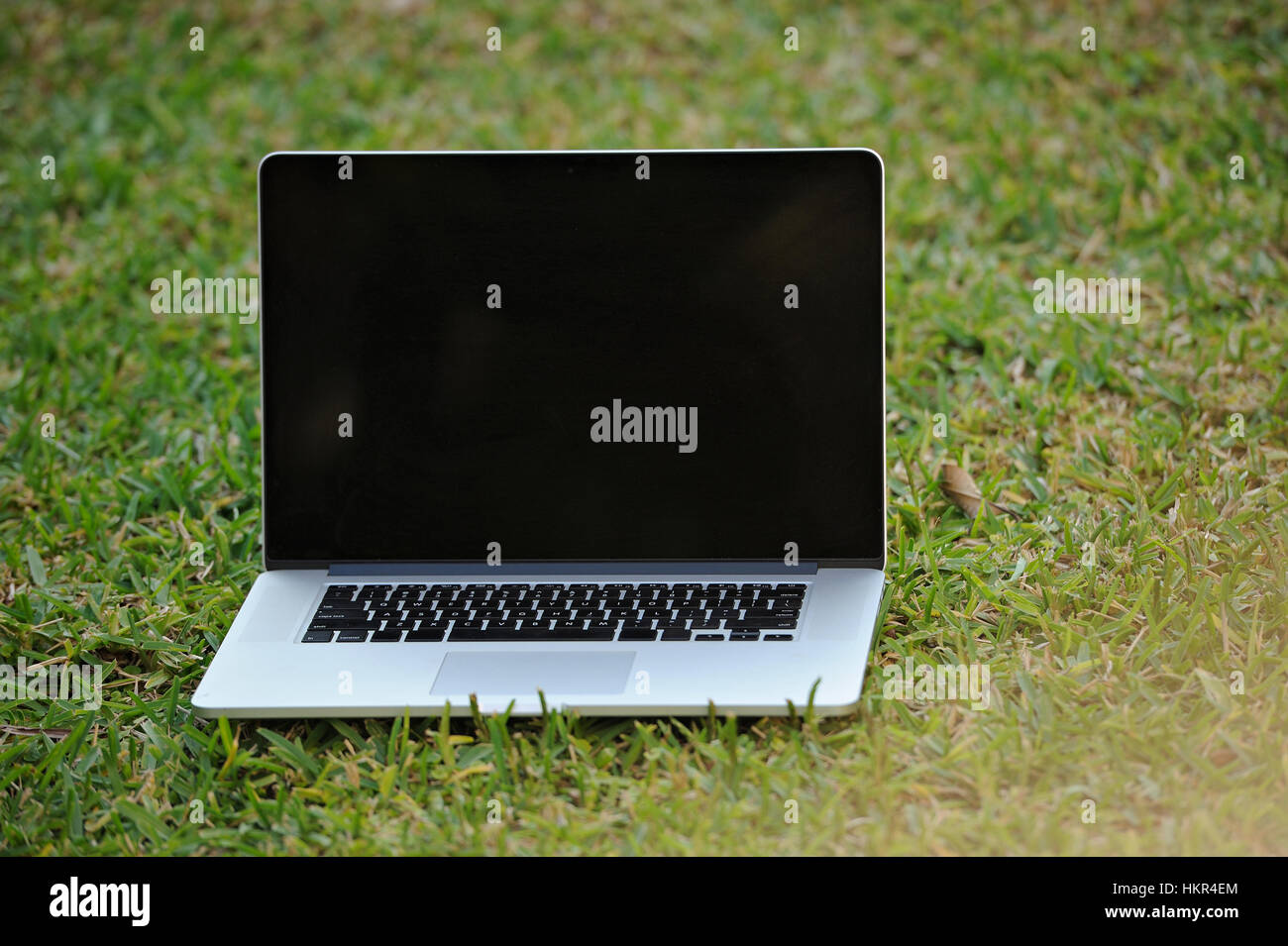 Laptop computer park background hi-res stock photography and images - Alamy