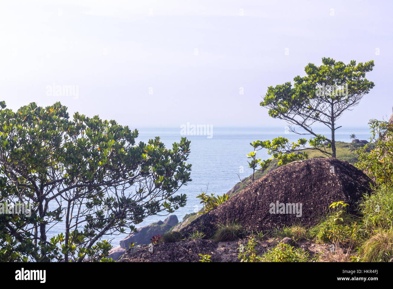 Ilhabela, Brazil, View of the atlantic ocean with rocks and vegetation ...
