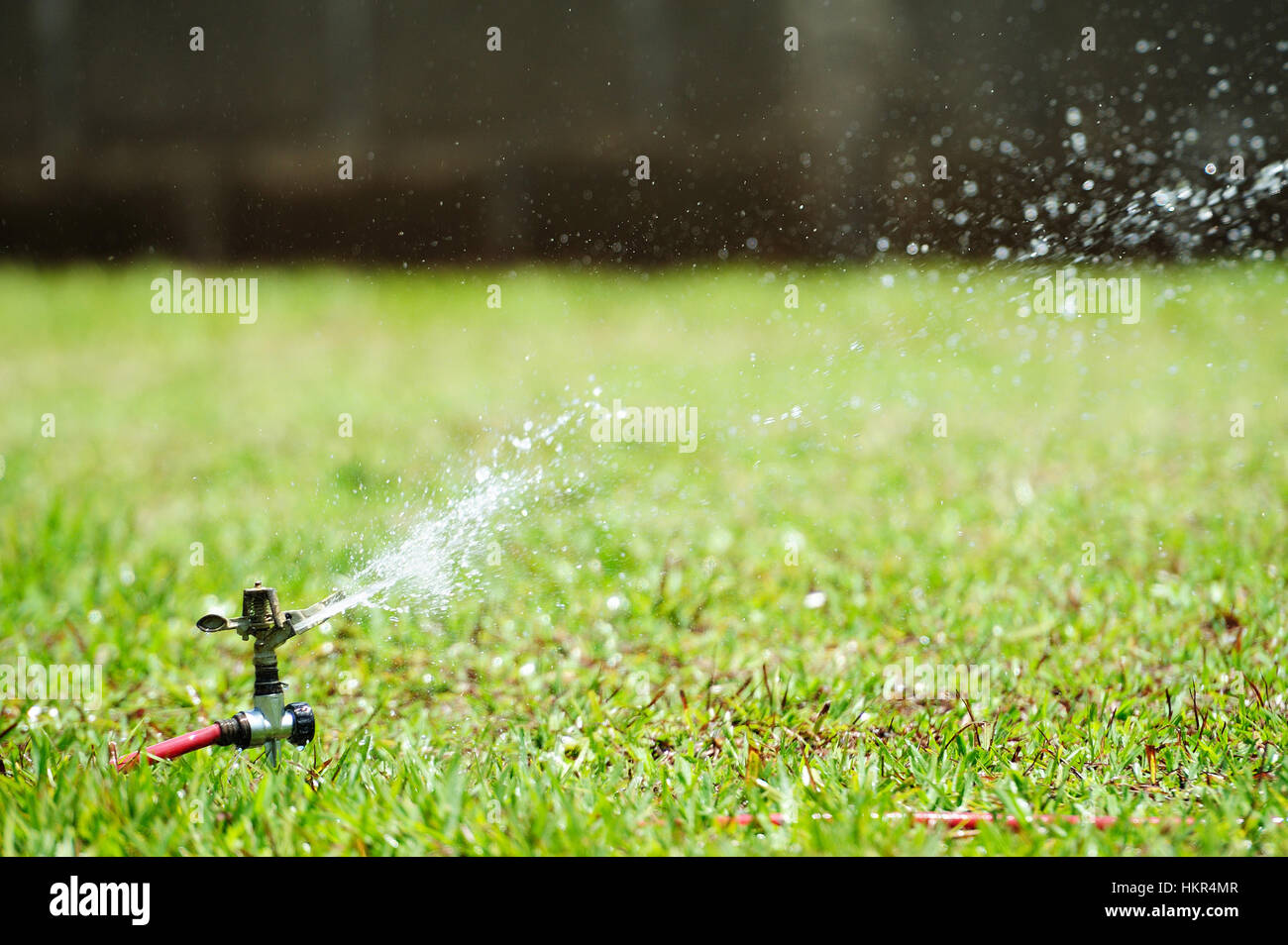 irrigation of green lawn with water sprinkler Stock Photo - Alamy