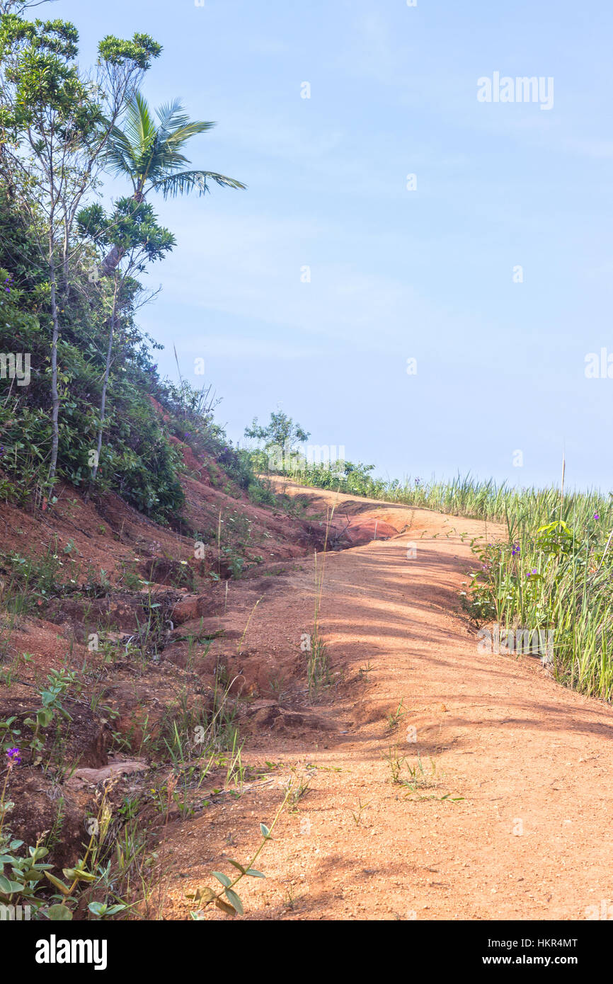 Red soil brazil hi-res stock photography and images - Alamy