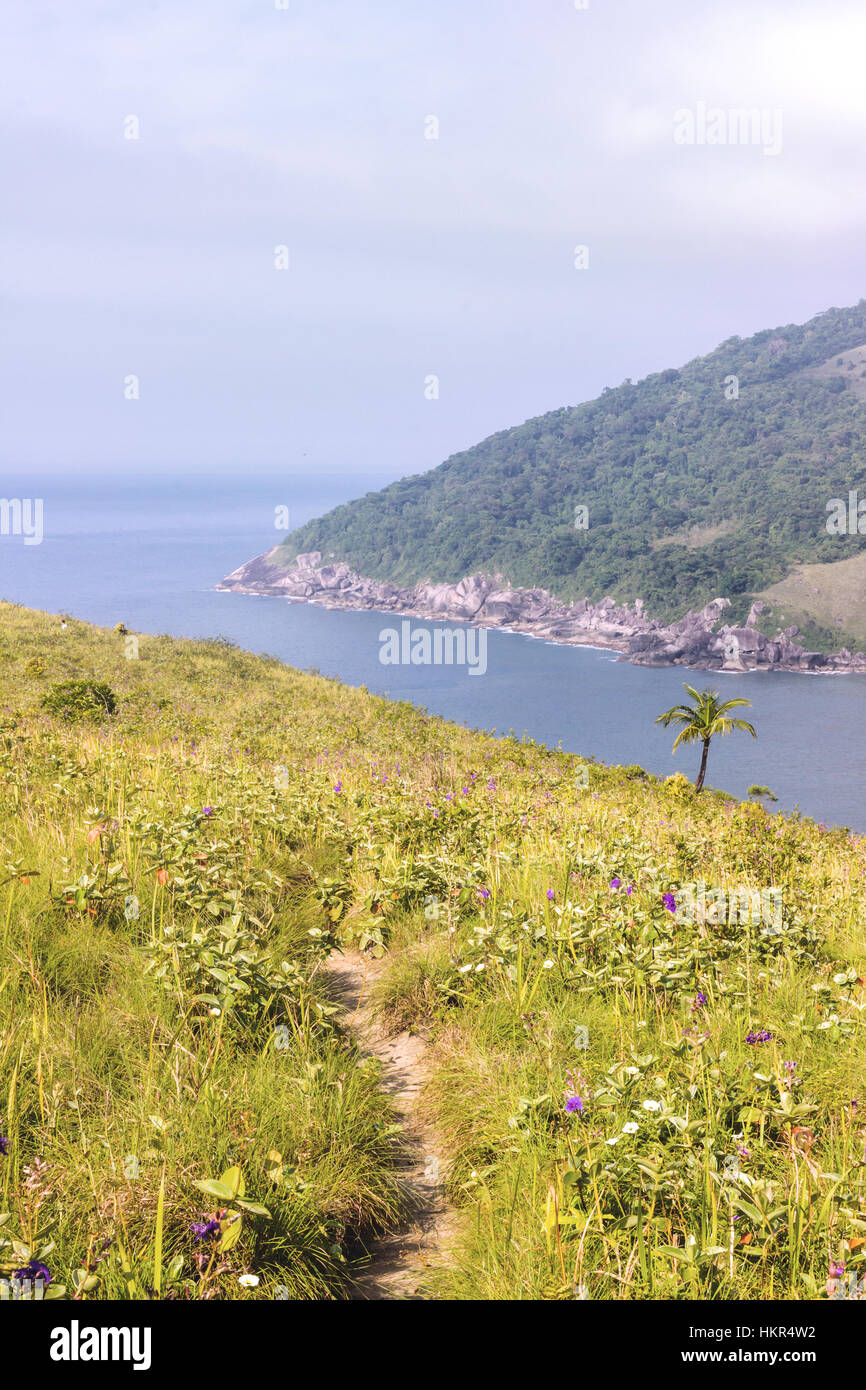 Ilhabela, Brazil, Trail between the grass on Mirante da Barra Stock ...
