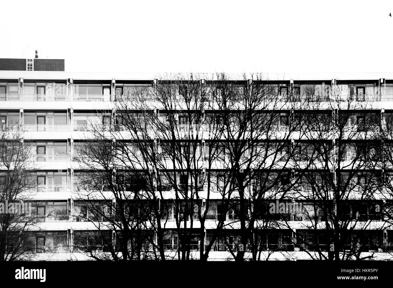 Apartment building with trees in black and white Stock Photo - Alamy