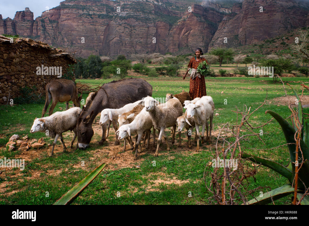 Gheralta mountains, near Hawzen, Eastern Tigray, Ethiopia. A country ...