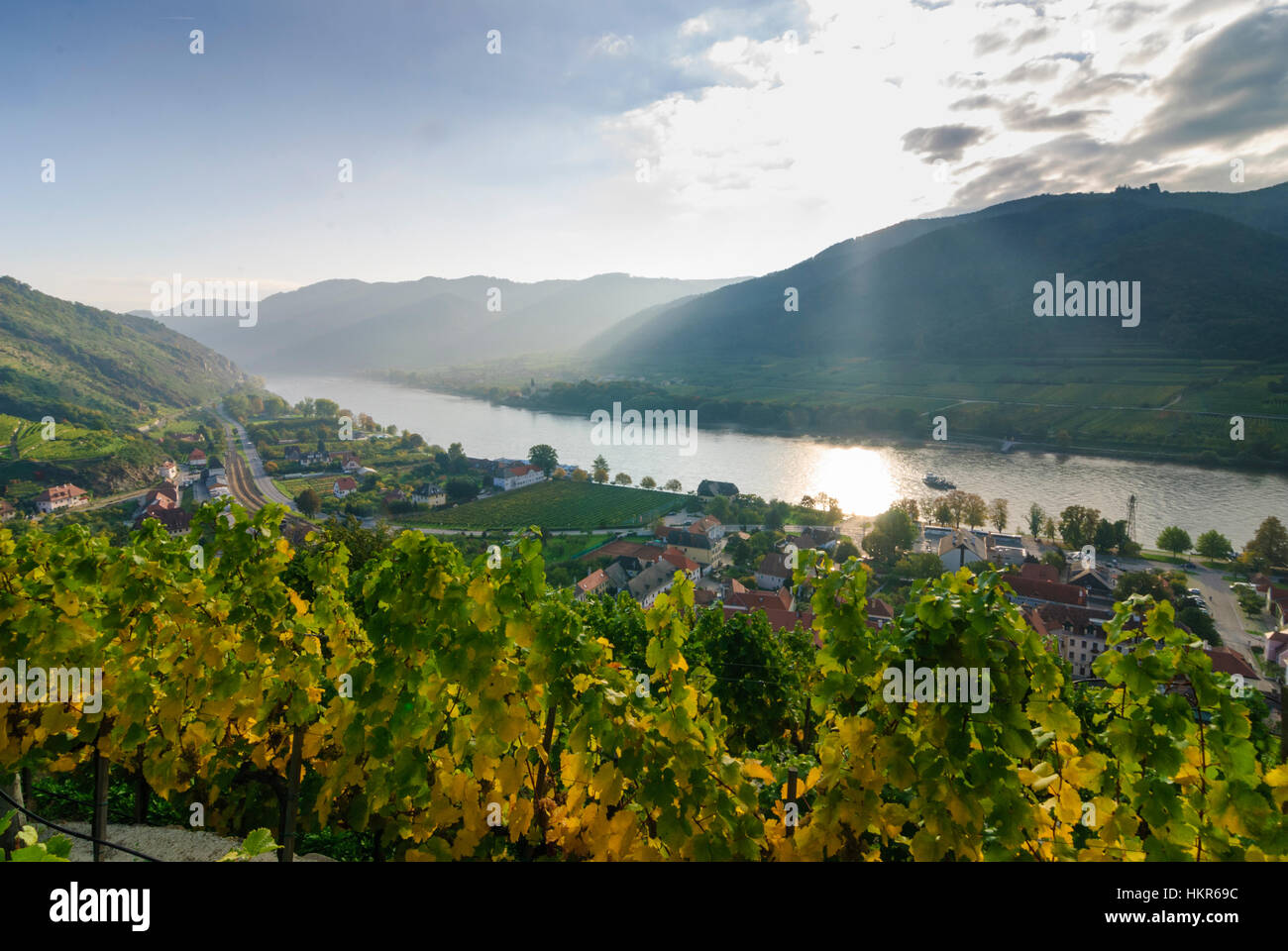 Spitz an der Donau: view to Spitz and Danube, vineyard, Wachau ...