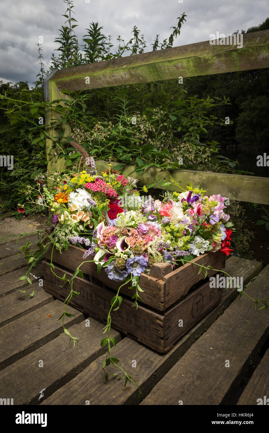 Flower Display in wooden box Stock Photo - Alamy