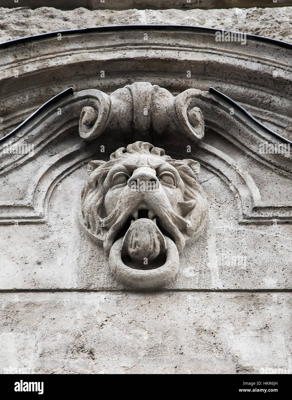 Lion head wall hi-res stock photography and images - Alamy