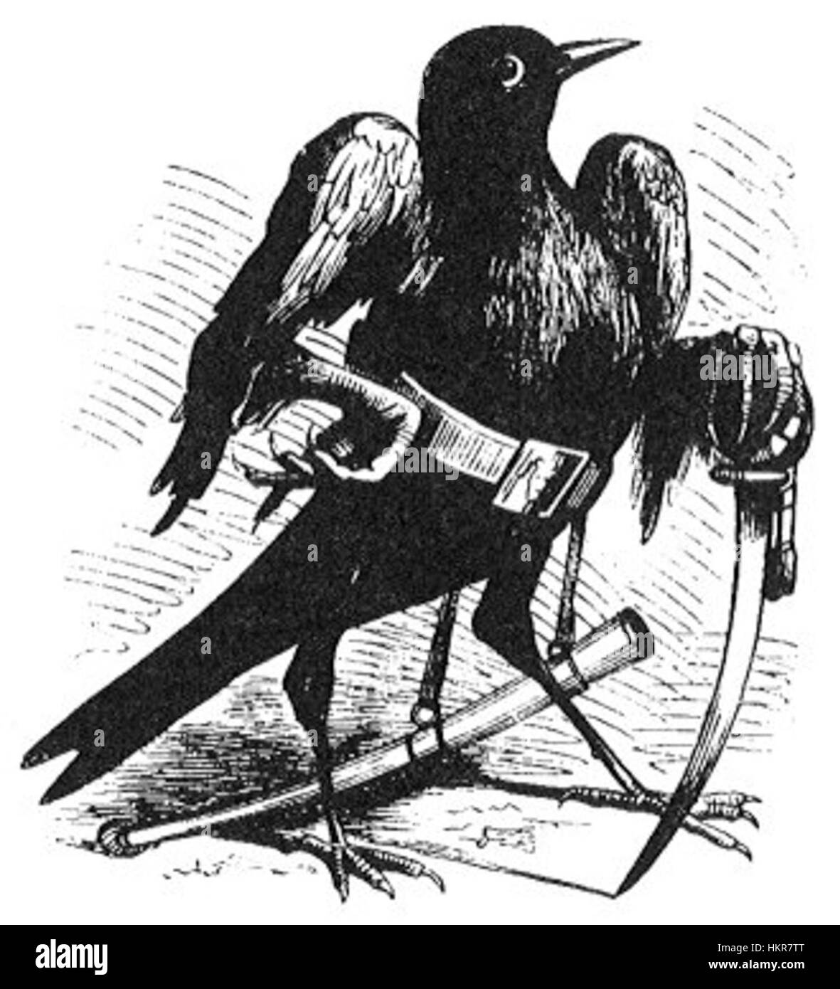 Caim in bird form Stock Photo - Alamy