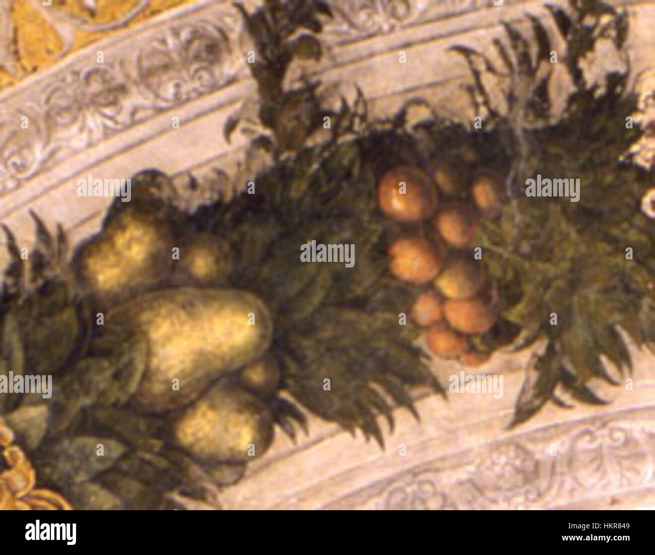 Oculo hi-res stock photography and images - Alamy