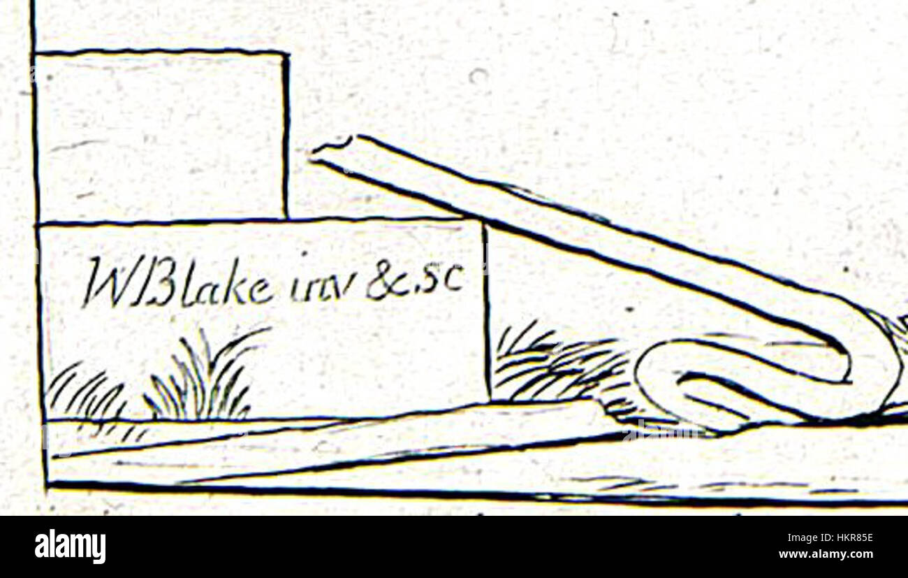 This detailed artwork, titled 'Blake-Job6-Detail-1,' offers a close-up ...