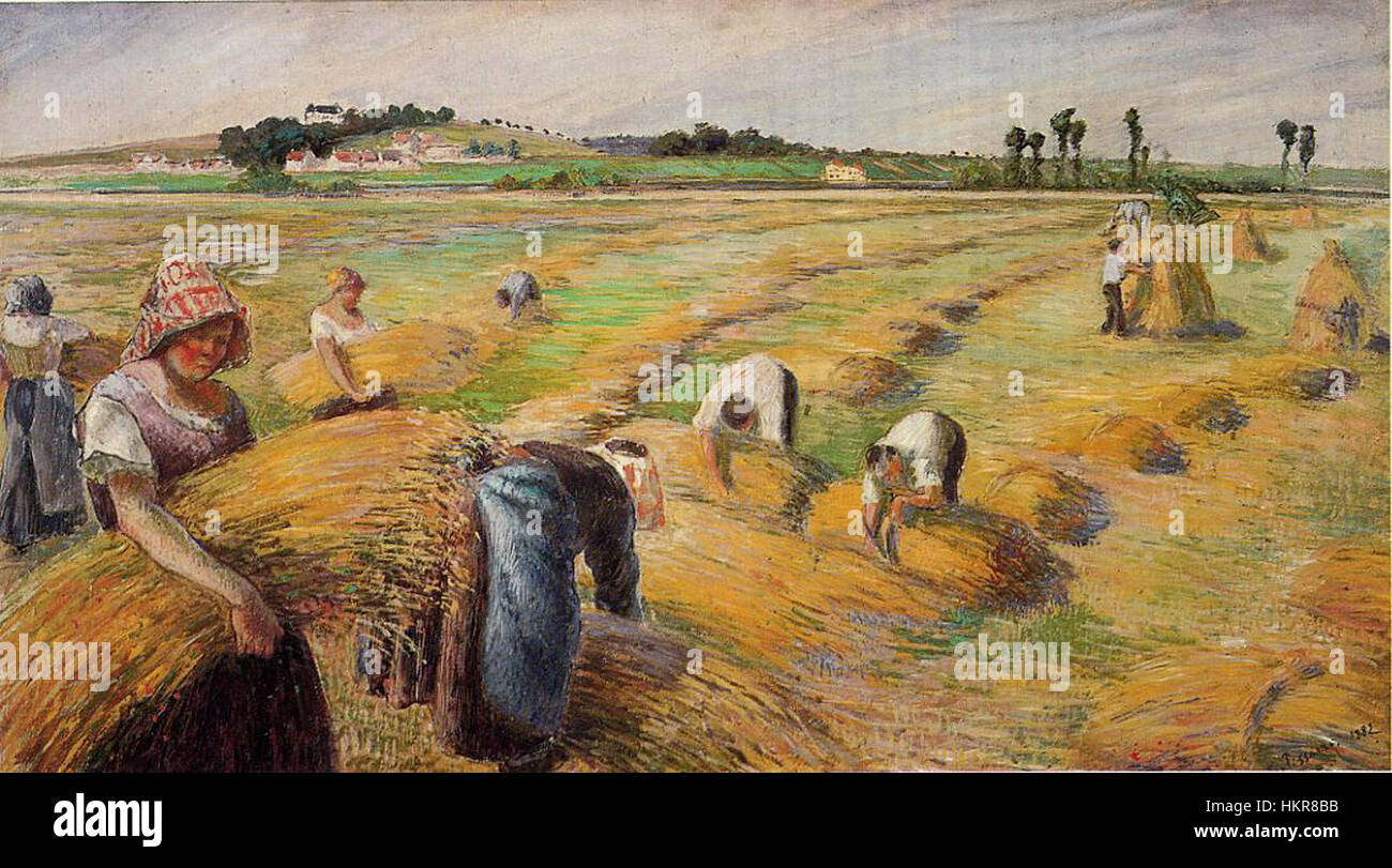 'The Harvest' by Camille Pissarro depicts a rural scene of workers ...
