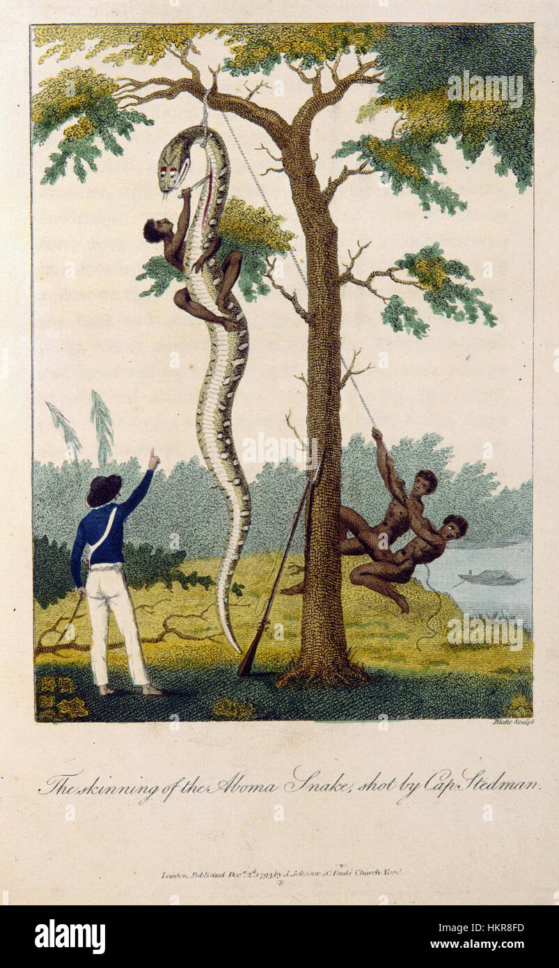 Blake after john gabriel stedman hi-res stock photography and images ...