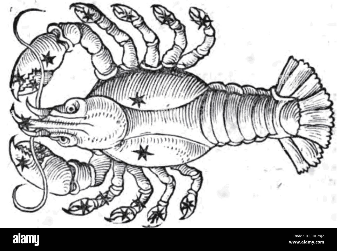 The painting 'Cancer-bonatti' by an unknown artist reflects medical and ...