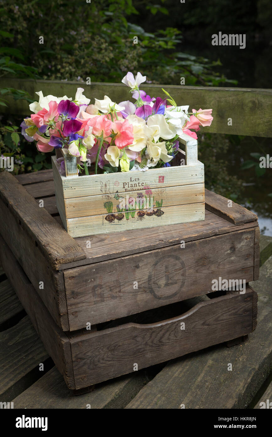 Flower Display in wooden box Stock Photo - Alamy