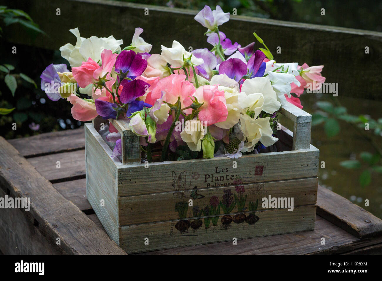 Flower Display in wooden box Stock Photo - Alamy