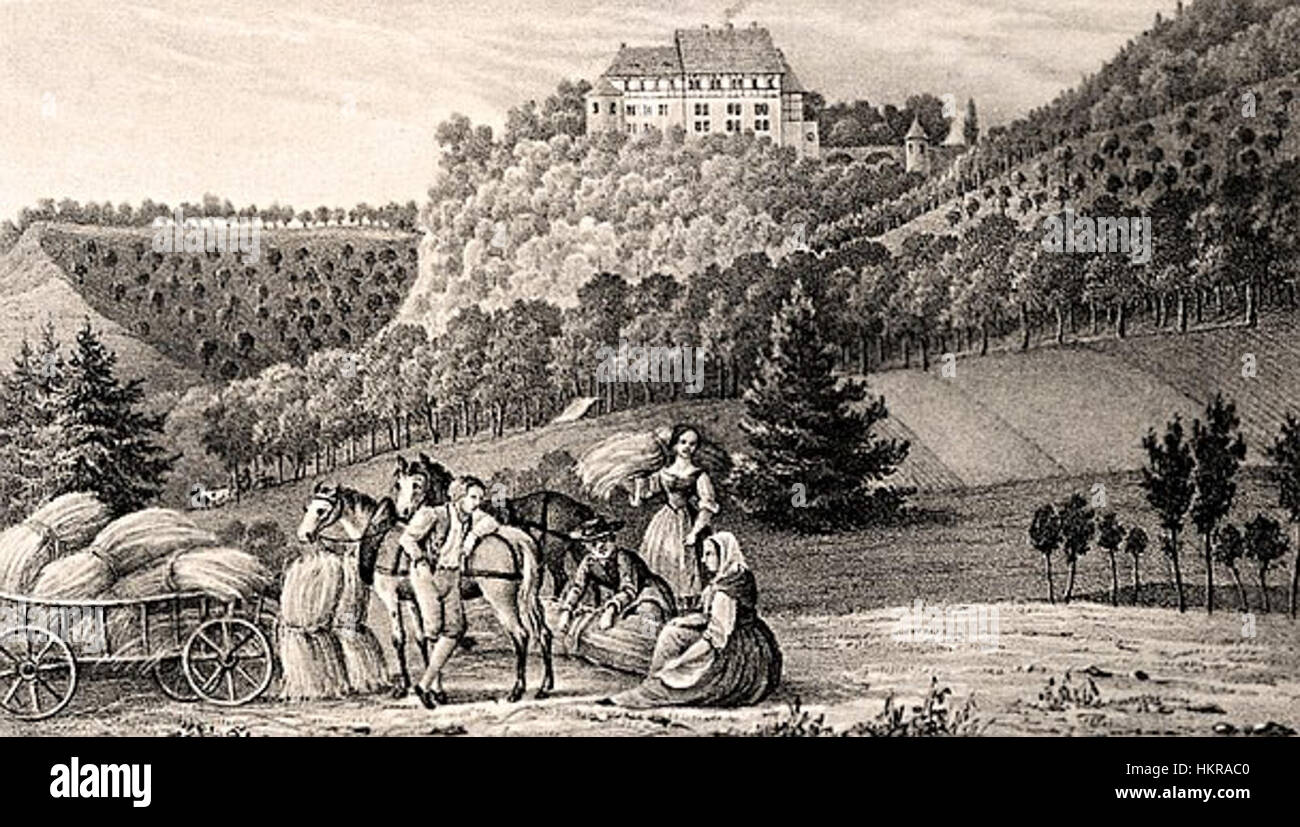 'Schloss Bodenstein' by Carl Duval depicts the historical Schloss ...