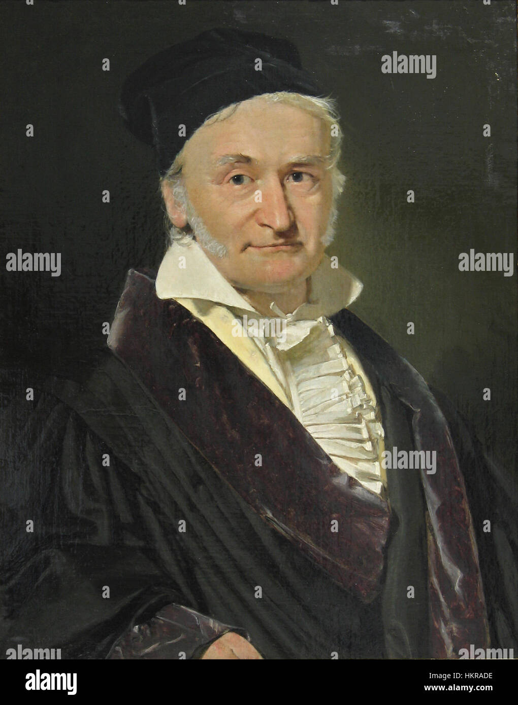 Carl Friedrich Gauss 1840 by Jensen Stock Photo - Alamy