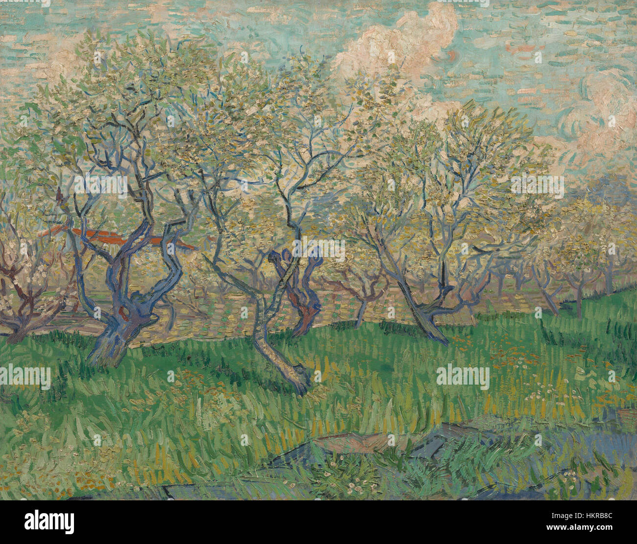 Boomgaard hi-res stock photography and images - Alamy