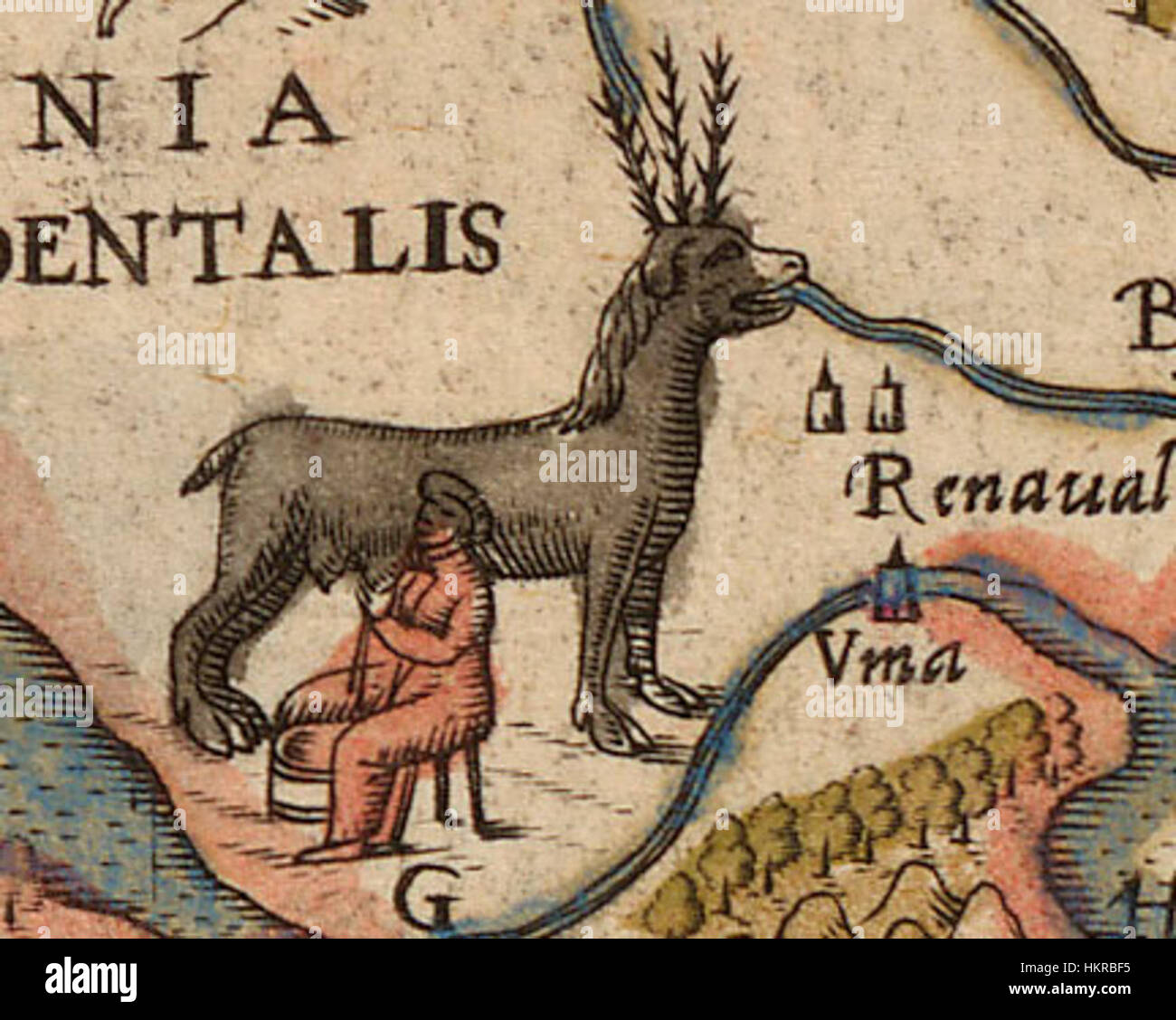The 'Carta Marina' is a detailed map dating from the Renaissance period ...