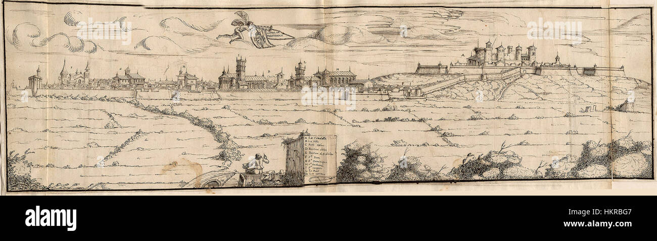 This antique map of Perpignan captures the historical landscape of the ...